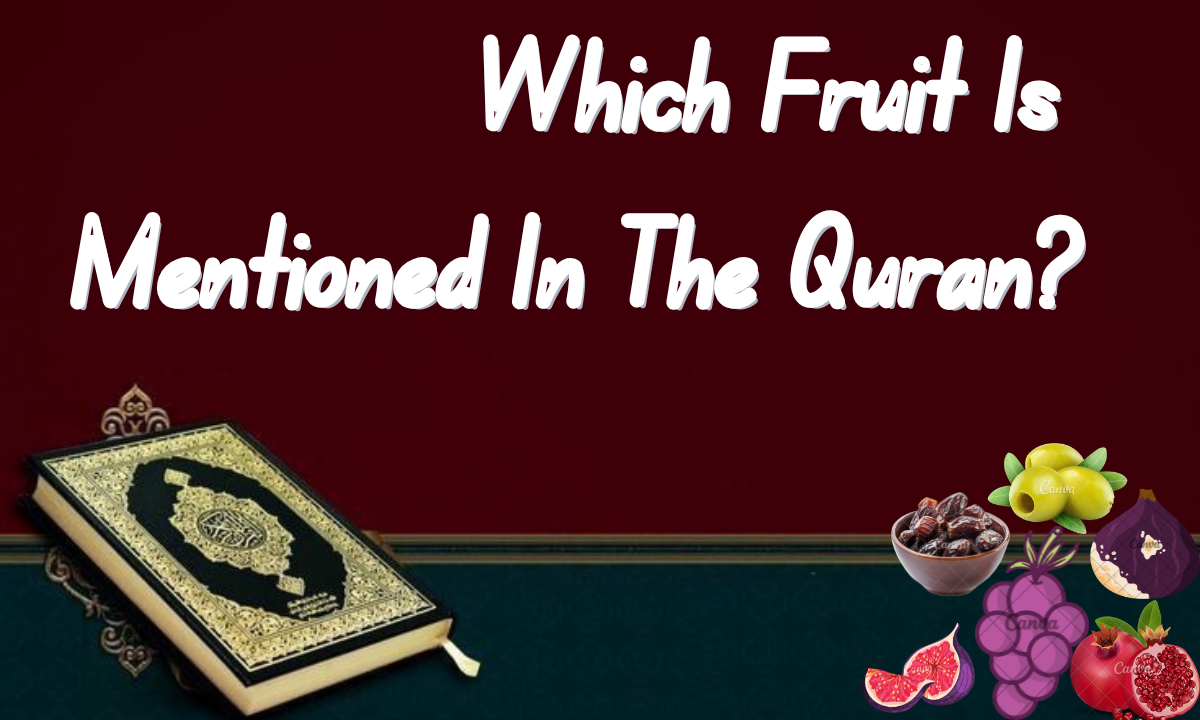 Which Fruit Is Mentioned In The Quran? - Qari Rehman Quran Academy